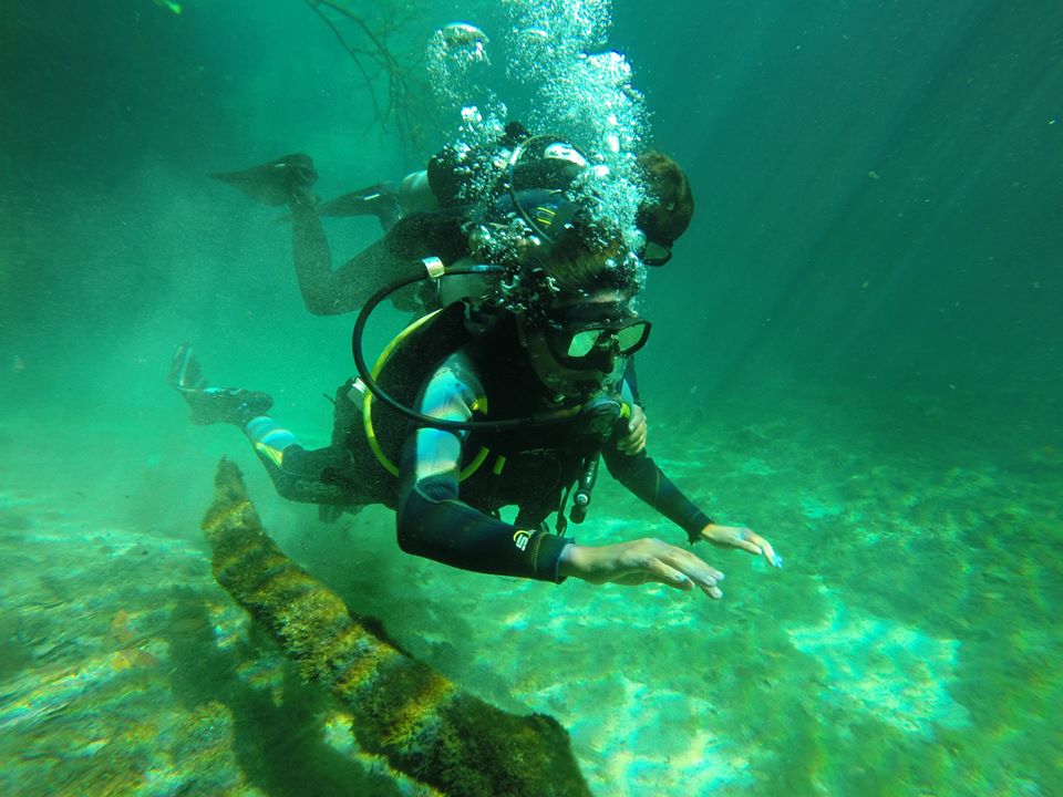 Casa Cenote Diving with Koox Diving | Complete Guide to the Cenote
