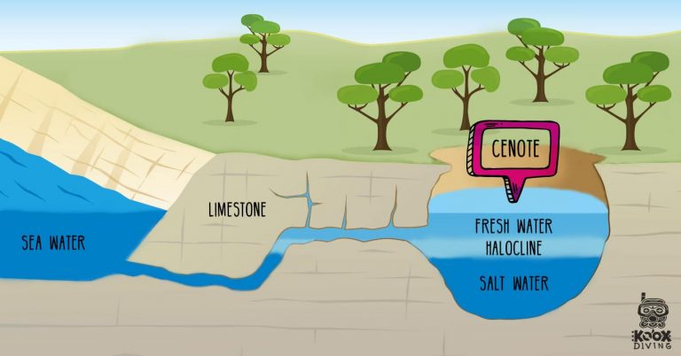 What Is a Cenote | How Were Cenotes Formed