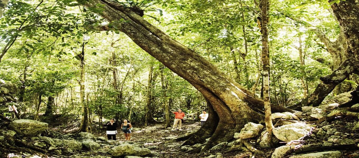 Choj Ha Cenote y El Naranjal Tour