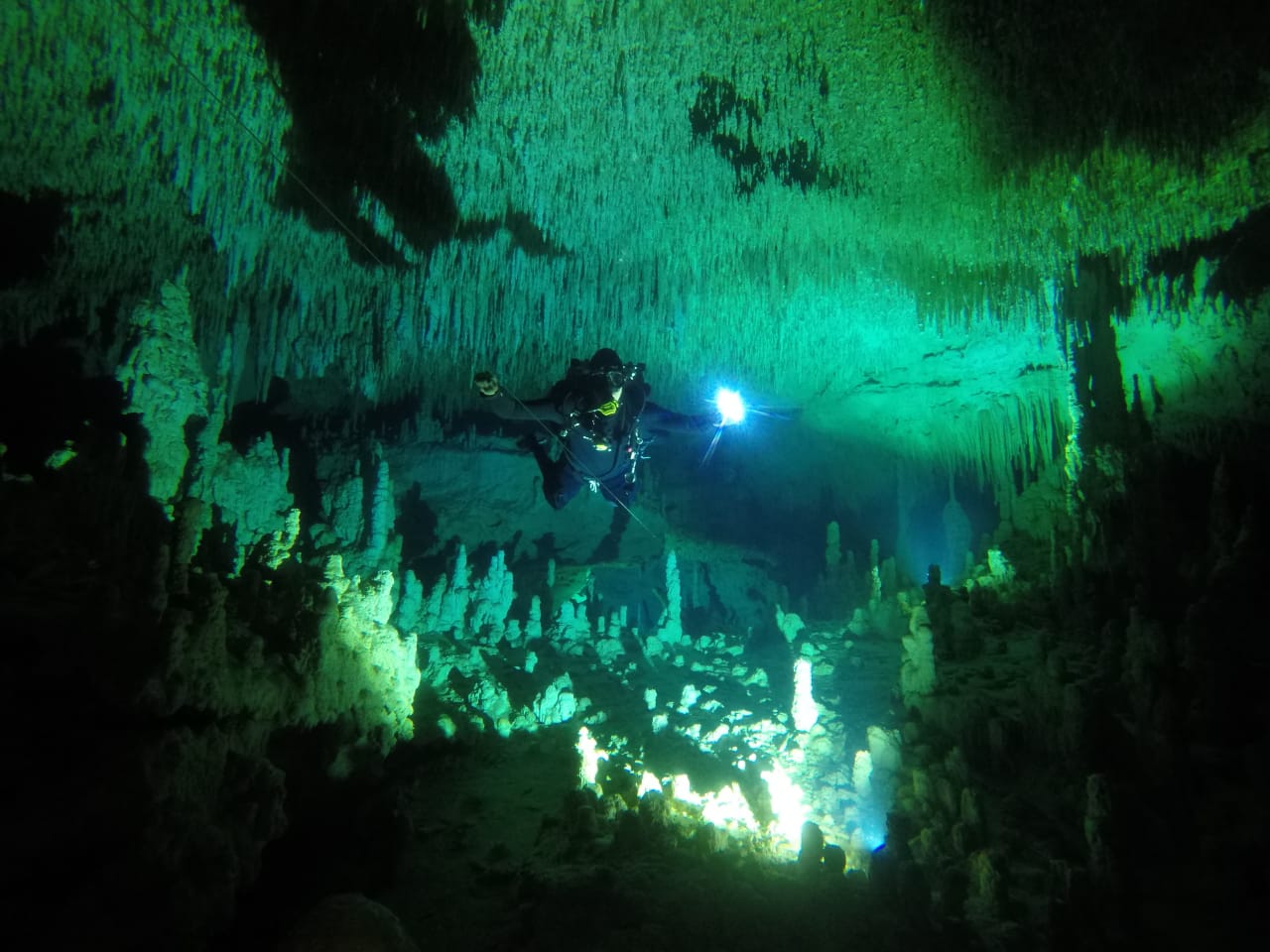 Top 5 mejores lugares para bucear cuevas en Tulum | Koox Diving