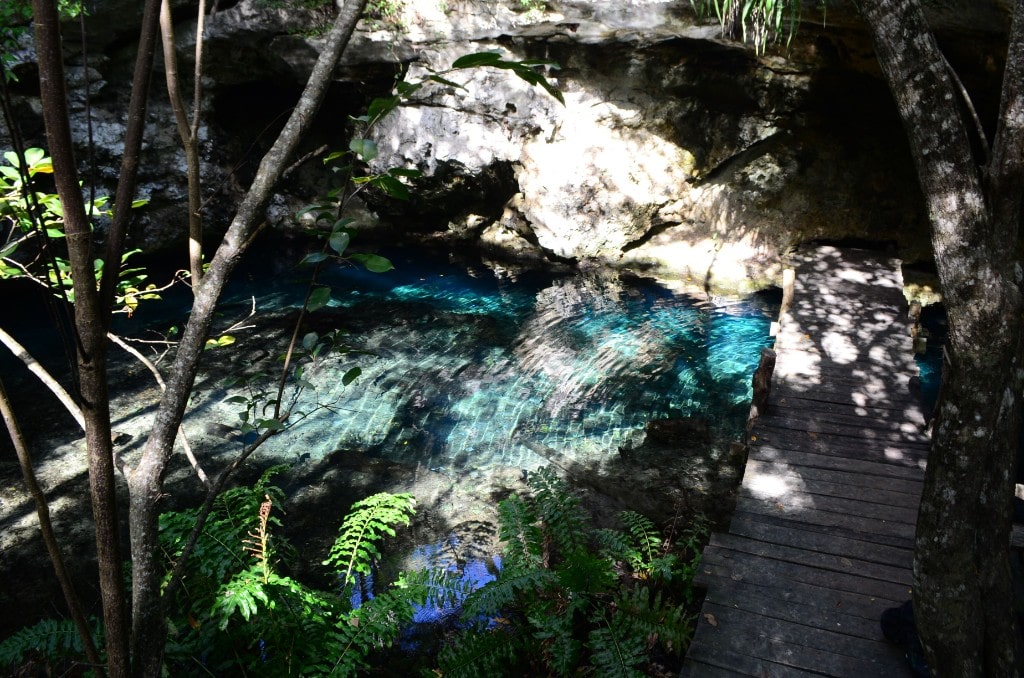 Buceo en cenote profundo Dreamgate - Koox Diving