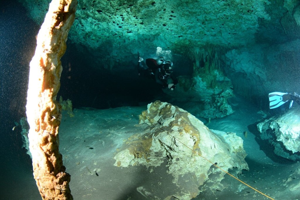 Dive in the Dreamgate Cenote with us | Ko'ox Diving