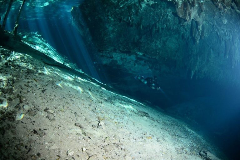 Dive in the Dreamgate Cenote with us | Ko'ox Diving