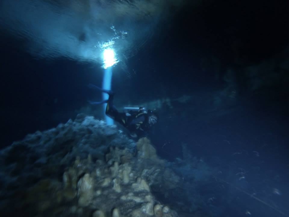 Cenote Taj Mahal conocido como Tajma Ha | Ko'ox Diving en Mexico