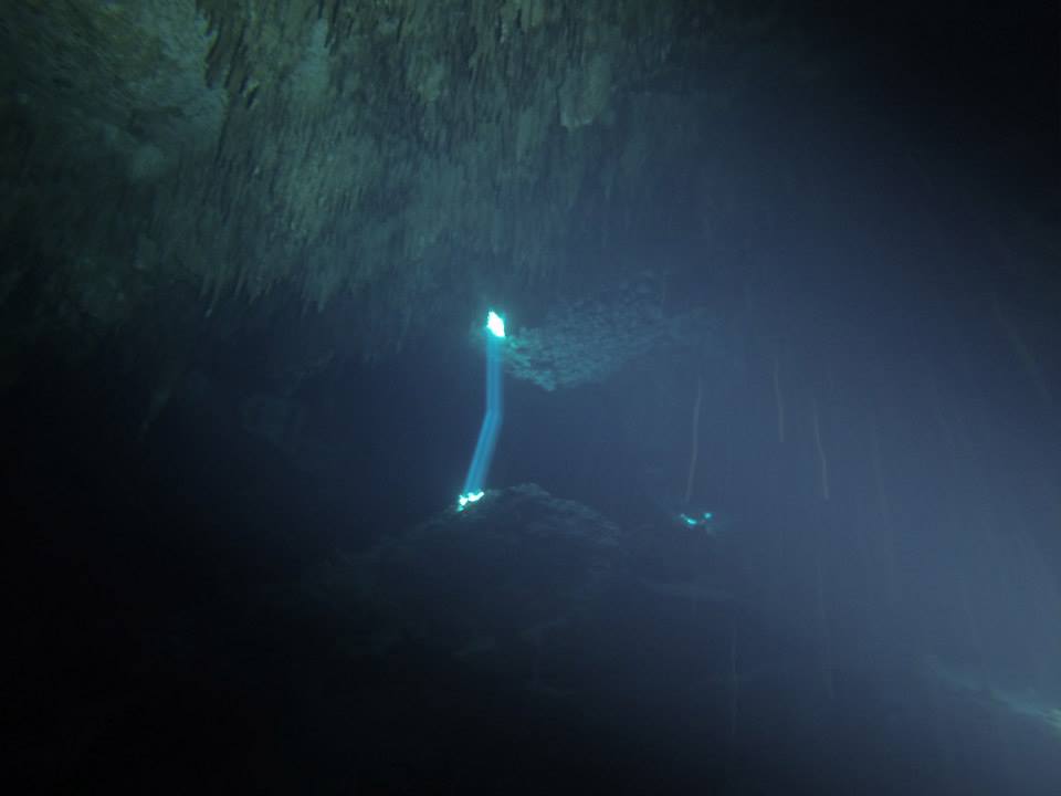 Cenote Taj Mahal conocido como Tajma Ha | Ko'ox Diving en Mexico