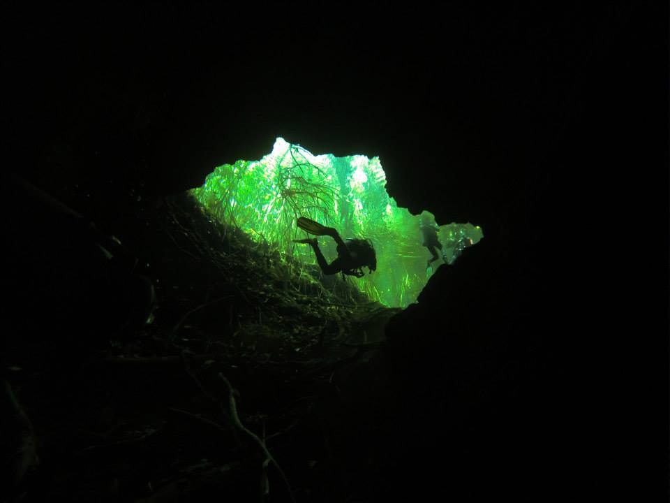 Cenote Taj Mahal conocido como Tajma Ha | Ko'ox Diving en Mexico