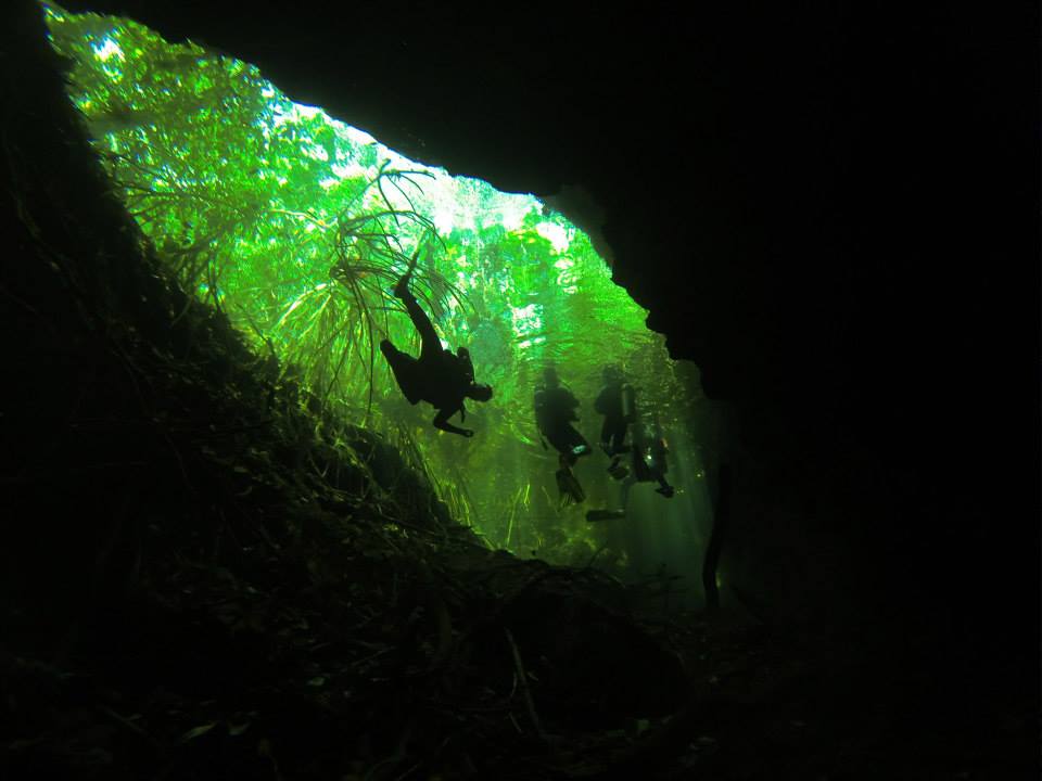 Cenote Taj Mahal conocido como Tajma Ha | Ko'ox Diving en Mexico
