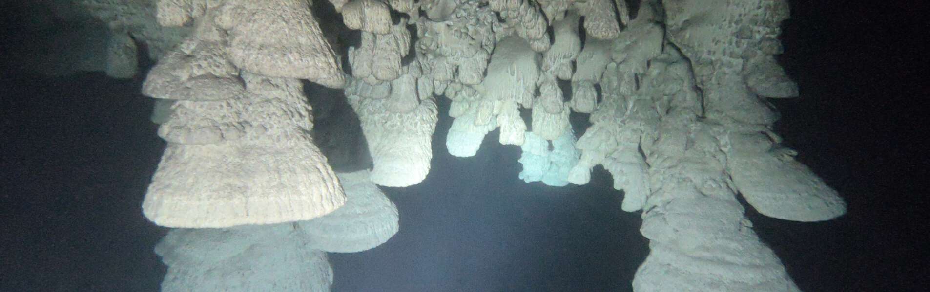 Cenote Zapote - Cenote Hells Bells | Koox Diving Playa del Carmen