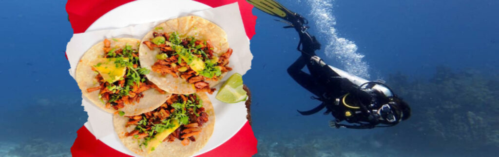 Should You Dive After Eating? What and When to Eat | Koox Diving