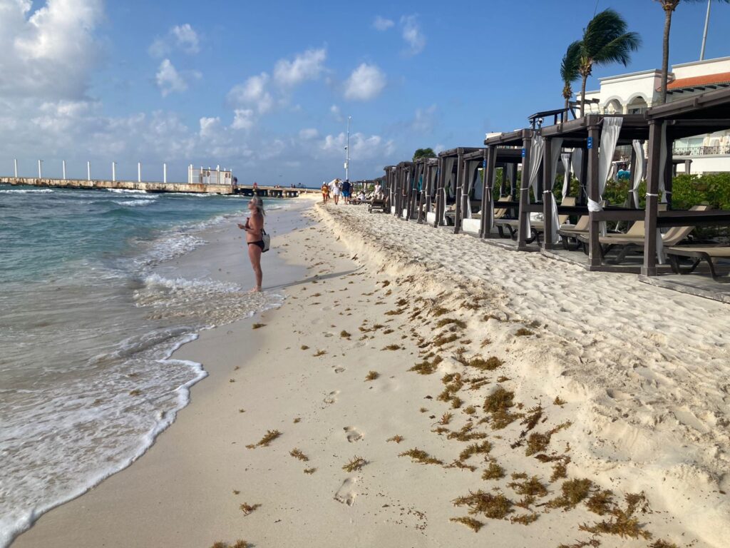Your Weather Guide To Playa del Carmen: When To Visit And Why